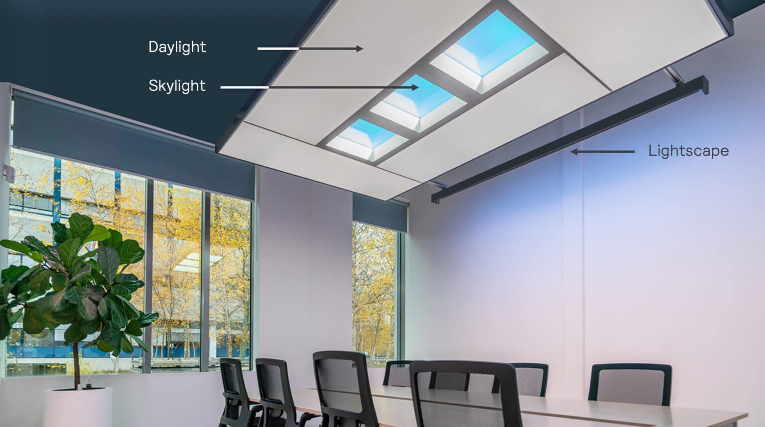 Indoor Natural Lighting | NatureConnect by Signify | Agilix Solutions